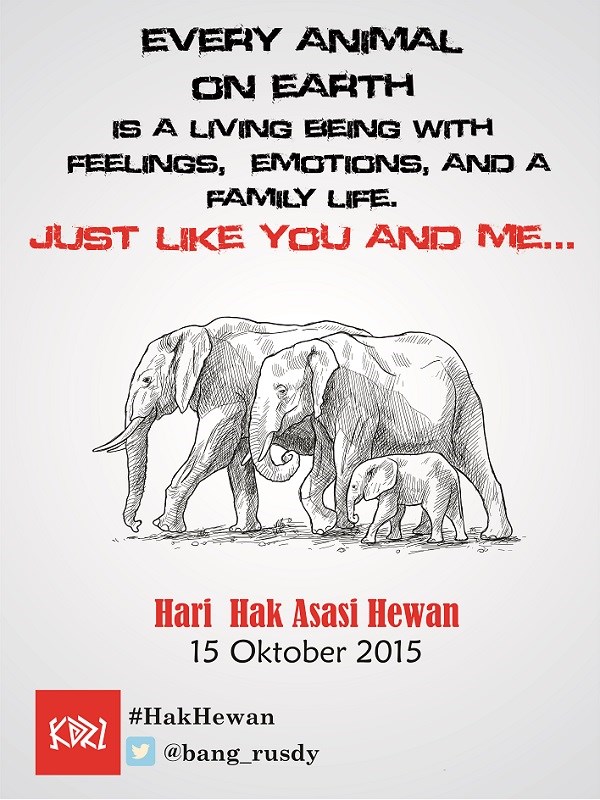 Just Like You and Me | HelloMotion.com